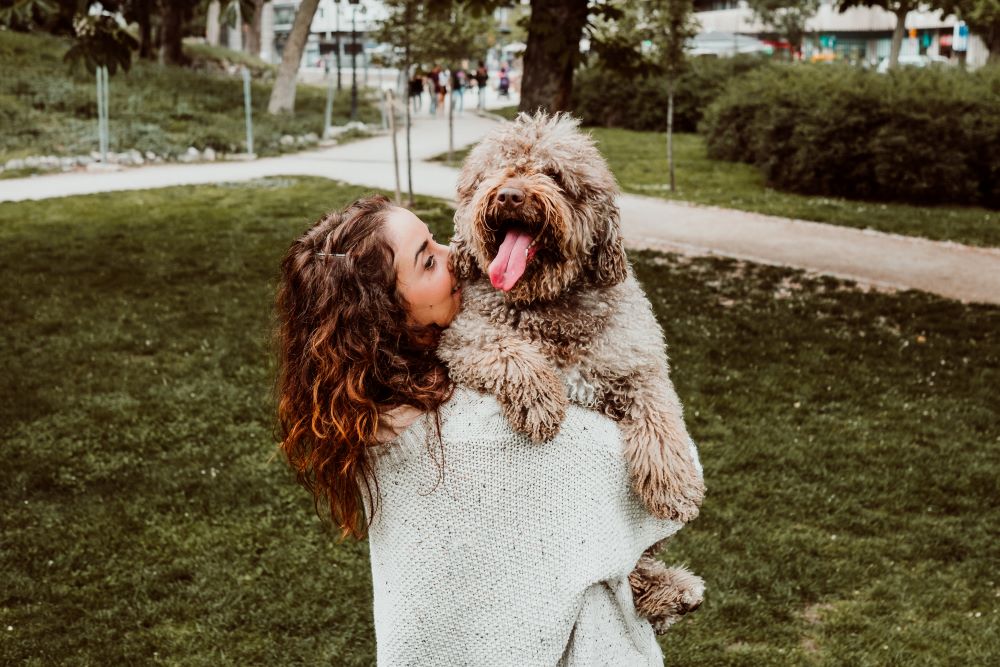 Gut Health Isn't Just for Humans It's for Dogs, Too - Nextrition Pet