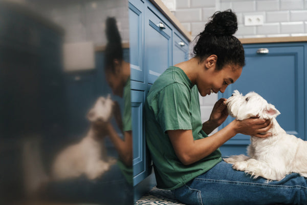 Is Excess Gas a Sign of Poor Gut Health in Dogs? - Nextrition Pet