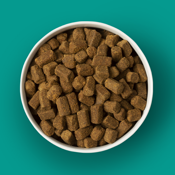 All-Natural Lamb Recipe - Nextrition Pet